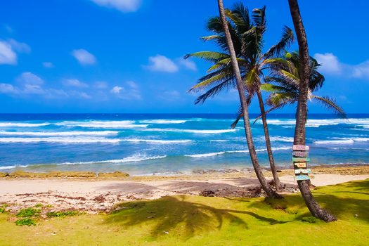 The Best Barbados Beaches To Visit - Resorts In Barbados